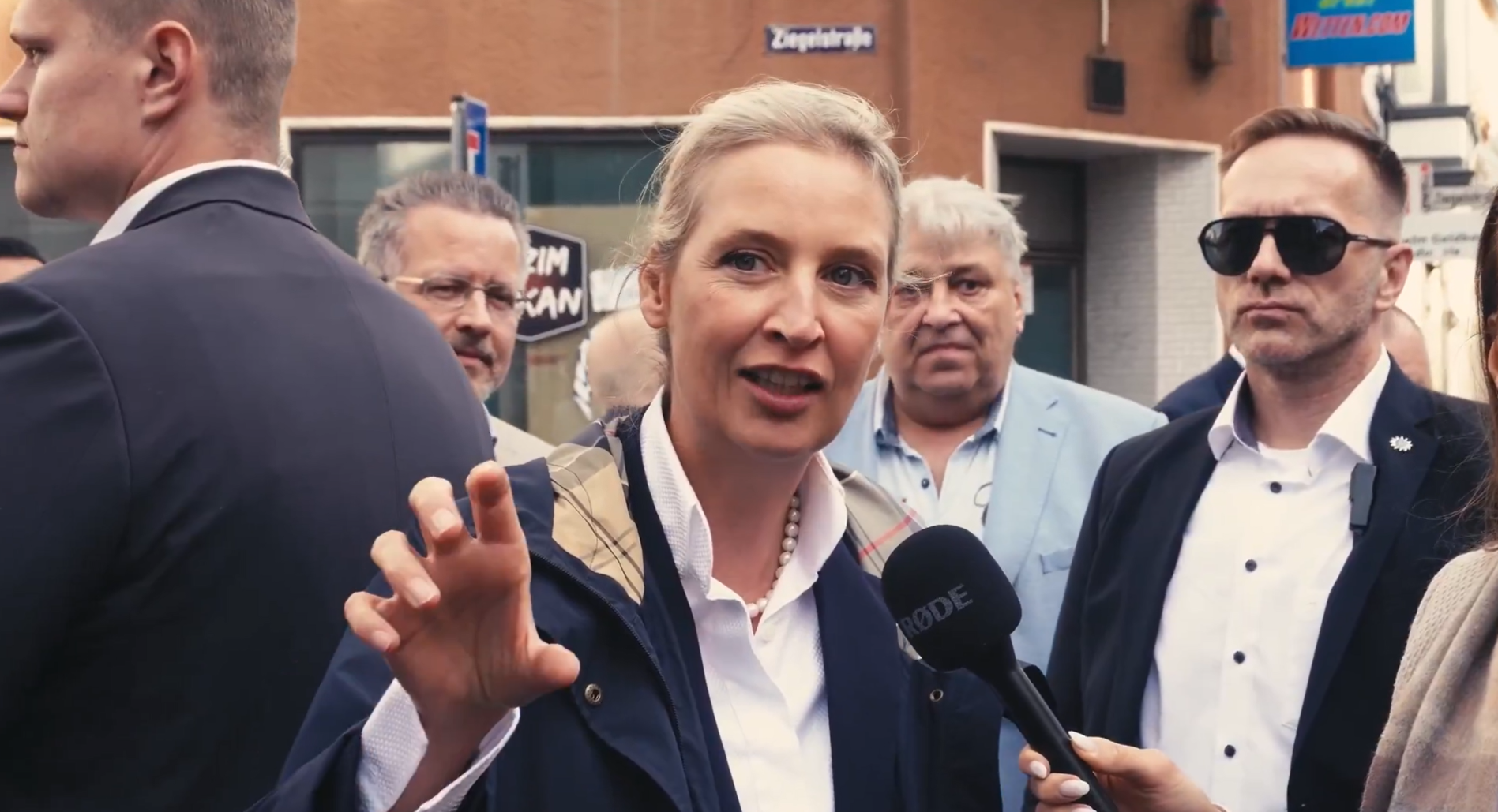 Far-right AfD triples vote in German local elections | Searchlight